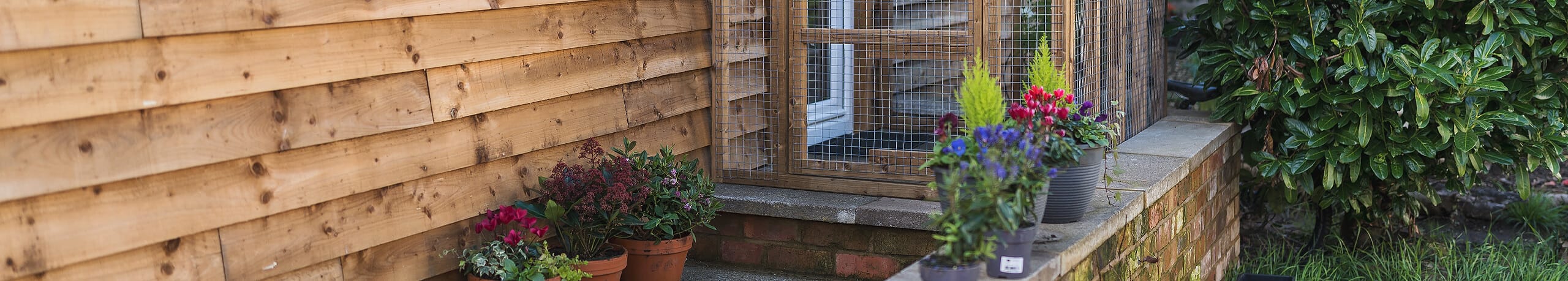 Menu | The Regent Street Cattery Desborough
